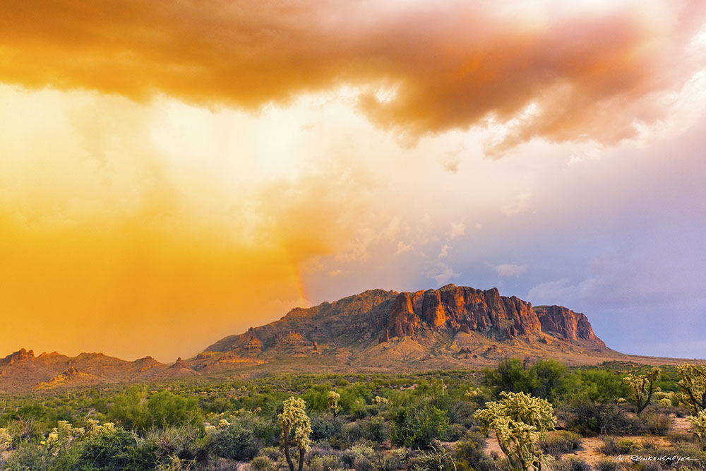 Viapagi Collection by Image Craft :: Artists :: Reinkensmeyer ...